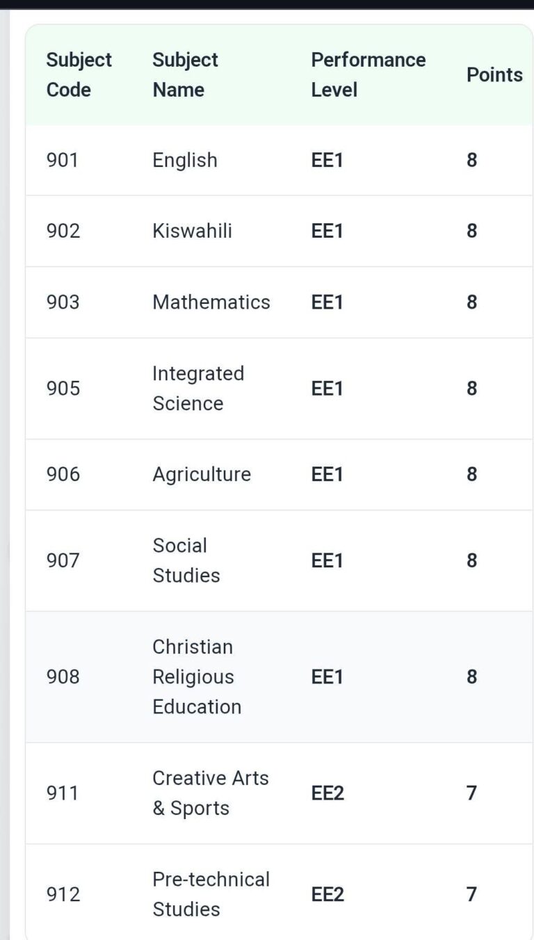 Explainer: The Grade 9 KJSEA Results Slip - Education News Hub
