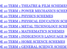 GRADE 10 HOME SCIENCE SCHEMES OF WORK FOR TERM 1 - Education News Hub