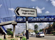Pangani Girls high school logo Archives - Education News Hub