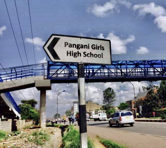 Pangani Girls High School {Best Review} - Education News Hub