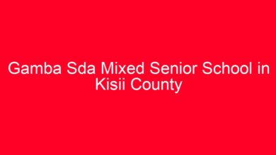 Gamba Sda Mixed Senior School’s CBE Subjects Archives - Education News Hub