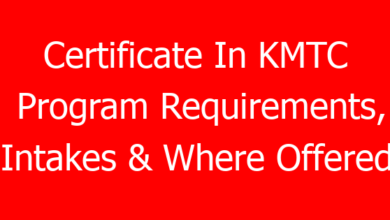 Certificate In Medical KMTC Program Requirements, Intakes & Where ...