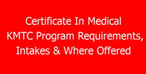Certificate In Medical KMTC Program Requirements, Intakes & Where ...