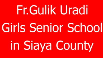 Fr.Gulik Uradi Girls Secondary School Archives - Education News Hub