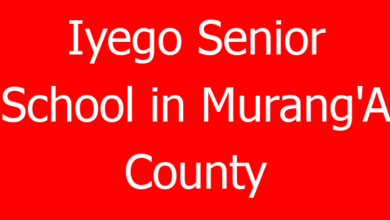 Iyego Senior School - Education News Hub