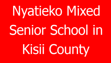 Nyatieko Mixed Senior School’s Contacts Archives - Education News Hub
