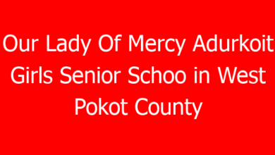 Our Lady Of Mercy Adurkoit Girls Senior Schoo’s Pathways Archives ...