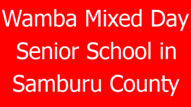 Wamba Mixed Day Senior School’s CBE Subjects Archives - Education News Hub